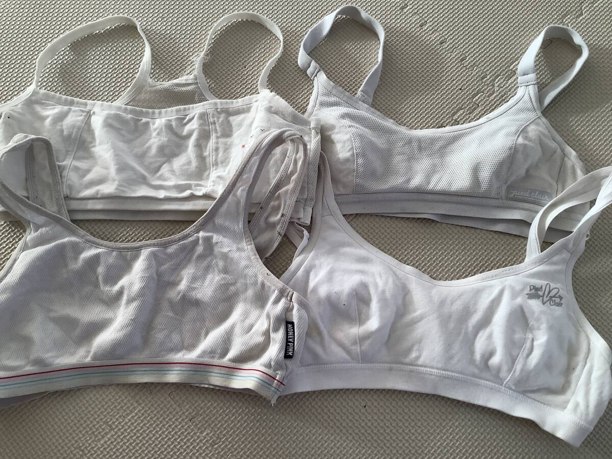 A75グンゼ 160 しまむら A70 150 4枚 ジニアブラ 500円(65以下)｜売買されたオークション情報、yahooの商品情報をアーカイブ公開 - オークファン（aucfan.com）