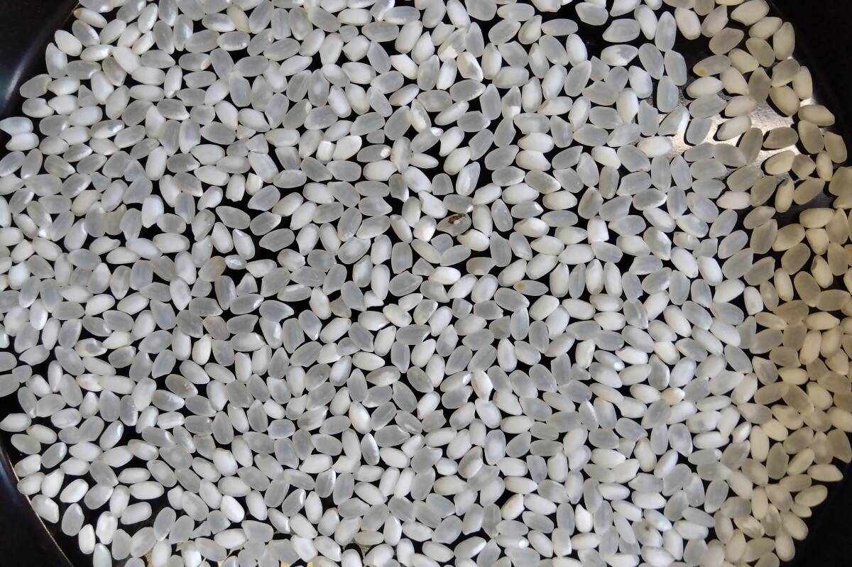 Yahoo!オークション - R6年産魚沼産コシヒカリ精米20kg(10kg×2) 複数...