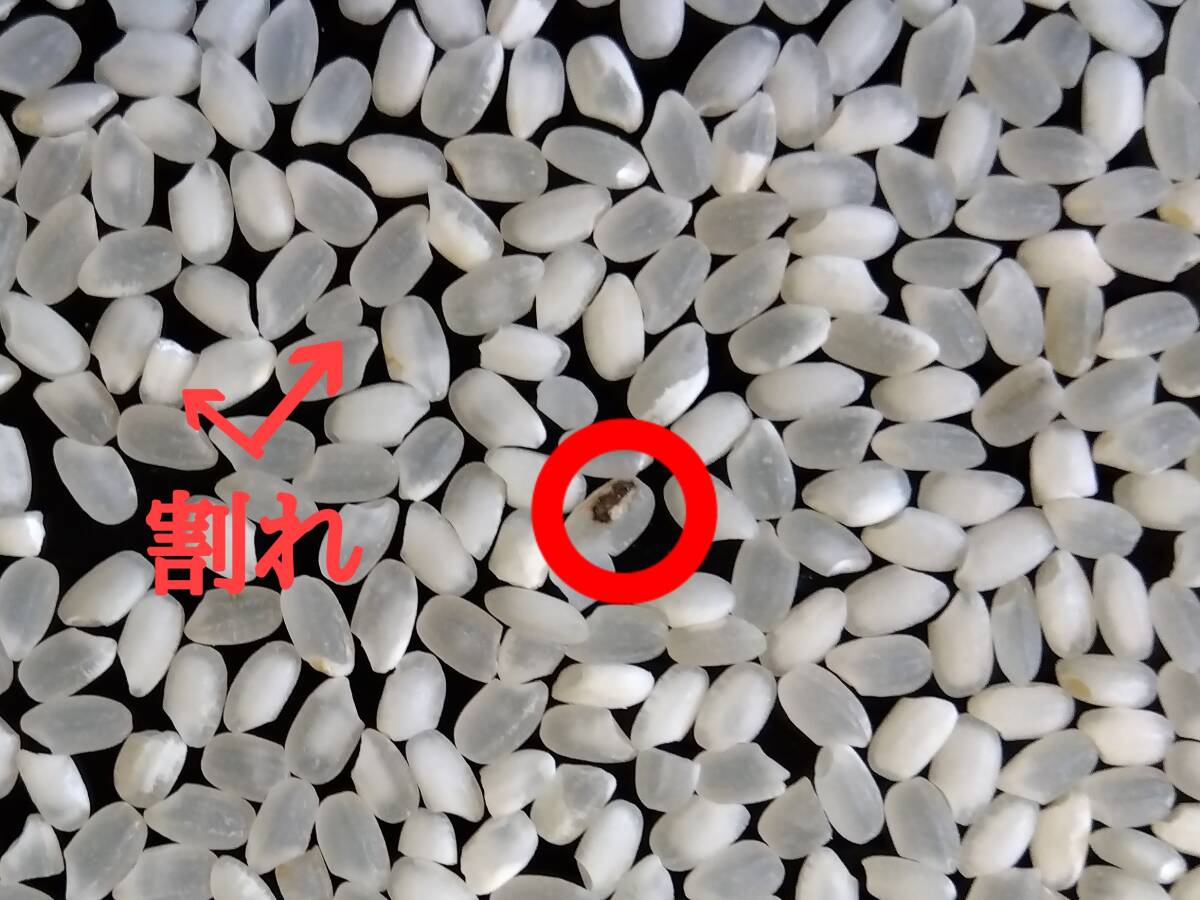 Yahoo!オークション - R6年産魚沼産コシヒカリ精米20kg(10kg×2) 複数...