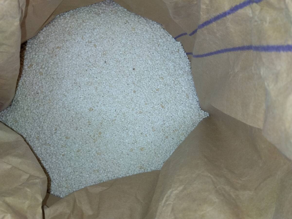 Yahoo!オークション - R6年産魚沼産もち米 精米20kg(10kg×2)