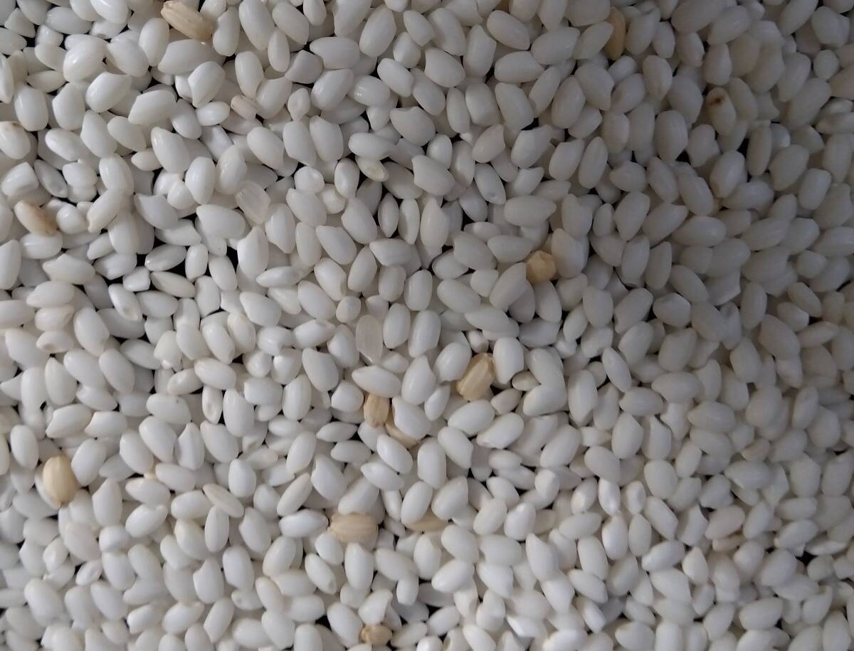 Yahoo!オークション - R6年産魚沼産もち米 精米20kg(10kg×2)