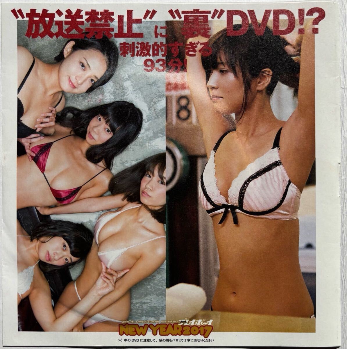 Yahoo!オークション - 週刊プレイボーイ 倉持由香 青山ひかる 菜乃花 ...