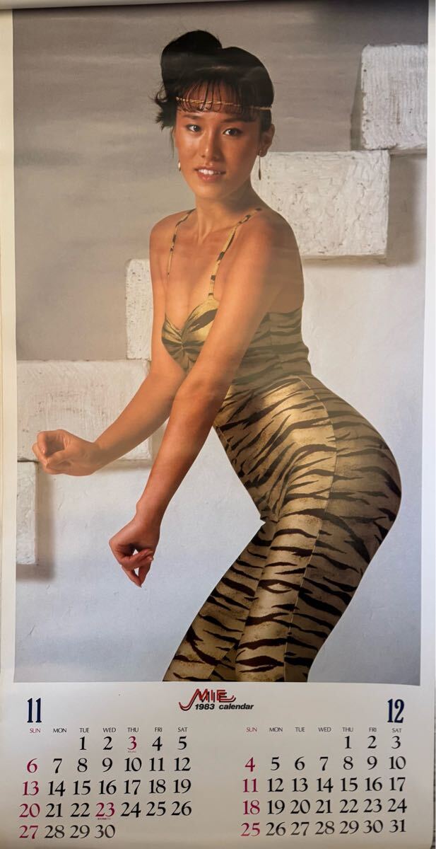 品 MIE 未唯 ピンクレディ 1983年度カレンダー7枚綴り 35×77cm 多少難あり(あ行)｜売買されたオークション情報、yahooの商品情報をアーカイブ公開 - オークファン ...