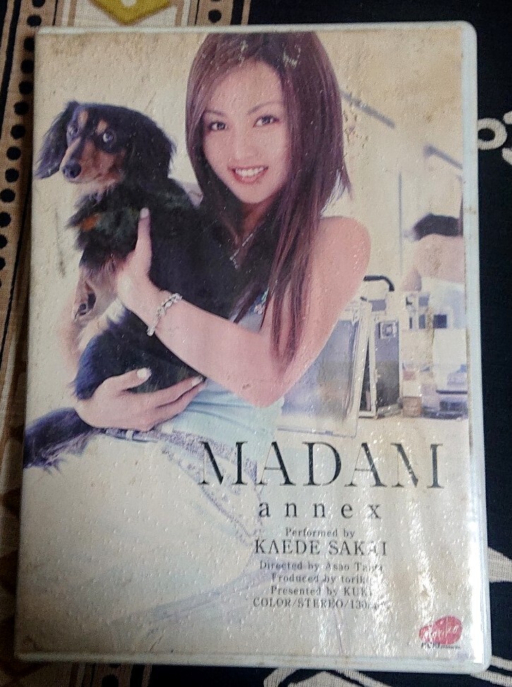 Yahoo!オークション - 酒井楓 MADAM annex アダルトDVD