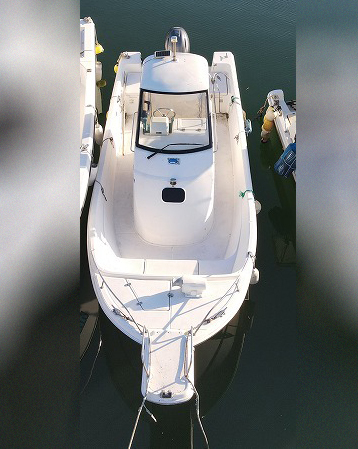 Yahoo!オークション - ロイヤルレジンRF23-V（ニッサン ジョイフィッシ...