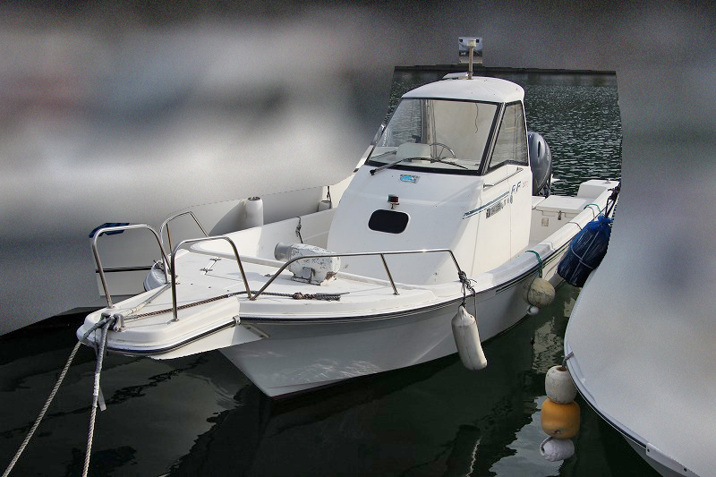 Yahoo!オークション - 使用25時間 ロイヤルレジン（ニッサンジョイフ...