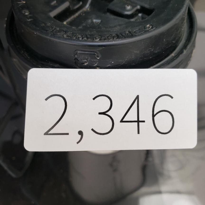 Yahoo!オークション - 2346 「塊根植物」アデニア プセウドグロボーサ ...