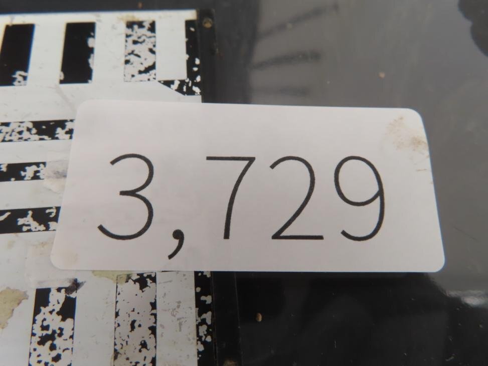 Yahoo!オークション - 3729 「塊根植物」パキポディウム グラキリス L ...