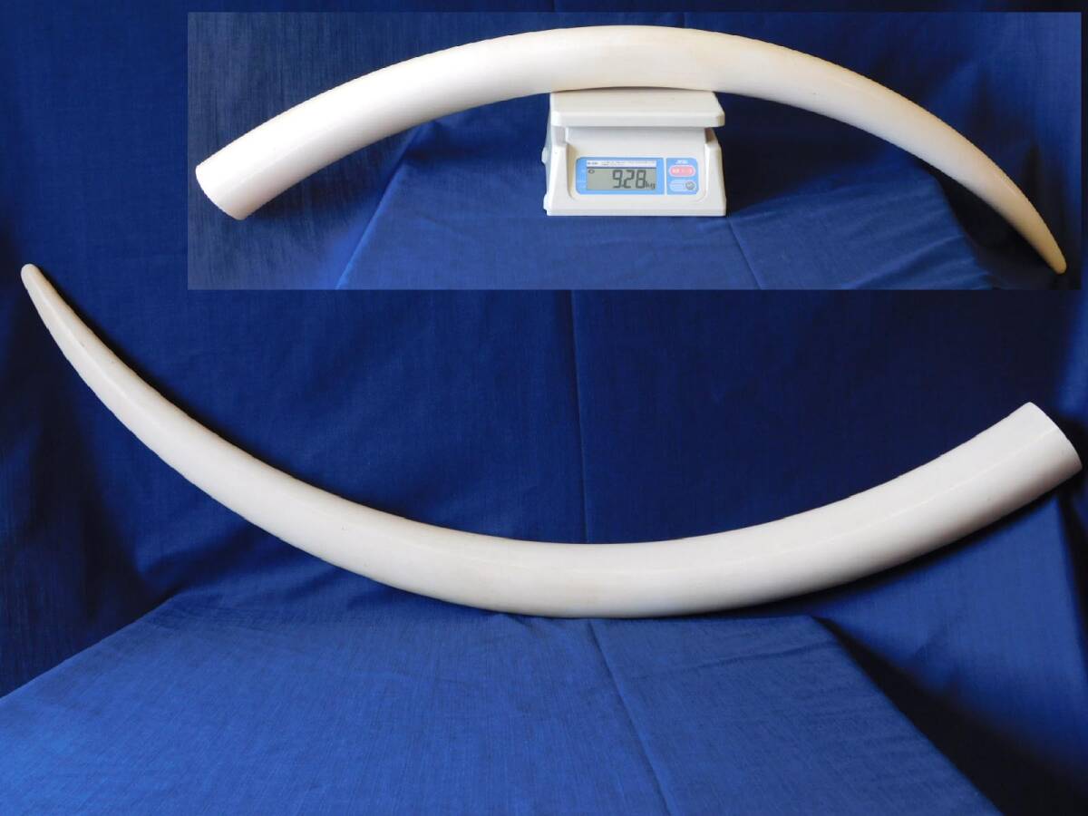 Yahoo!オークション - 【象牙風 置物】全長約1 255mm 重さ約9.28kg 一...