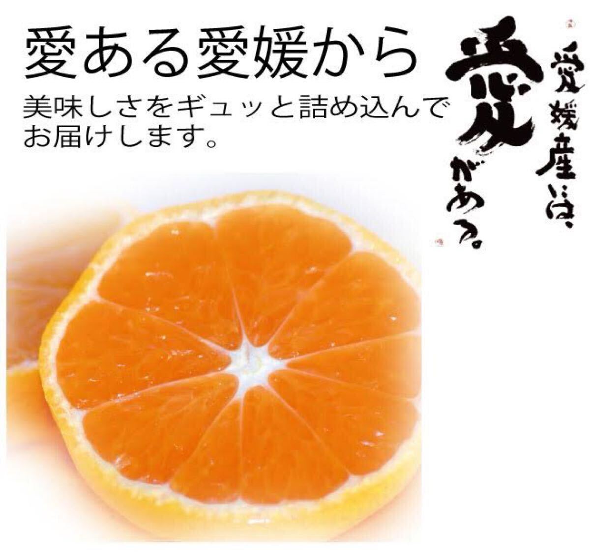 Yahoo!オークション - 愛媛みかん 越冬完熟 青島みかん 愛媛中島産 9kg...