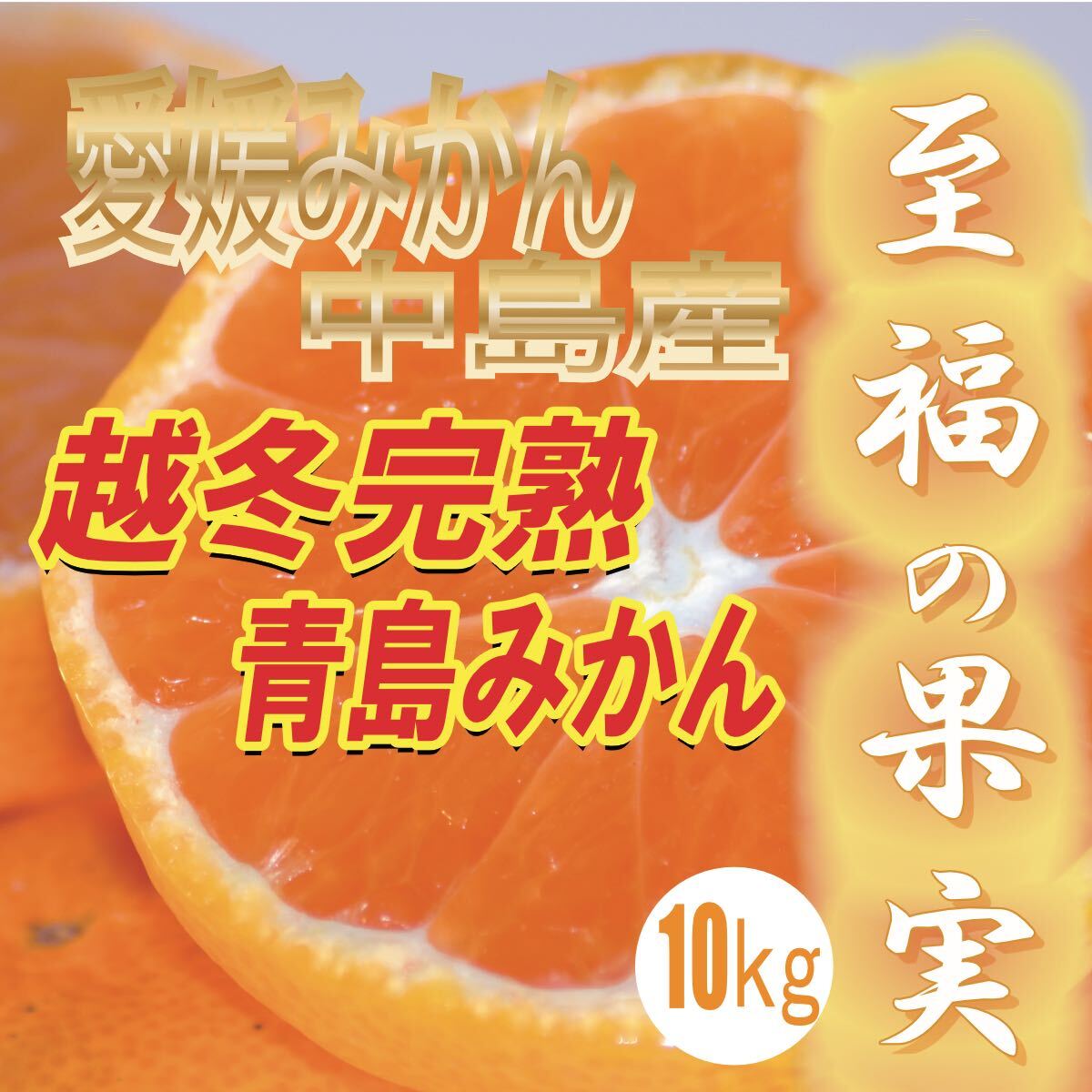 Yahoo!オークション - 愛媛みかん 越冬完熟 青島みかん 愛媛中島産 9kg...