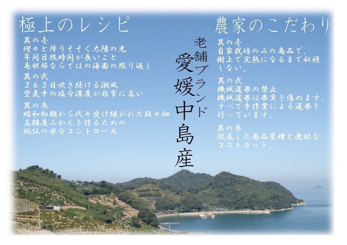 Yahoo!オークション - 愛媛みかん 越冬完熟 青島みかん 愛媛中島産 9kg...
