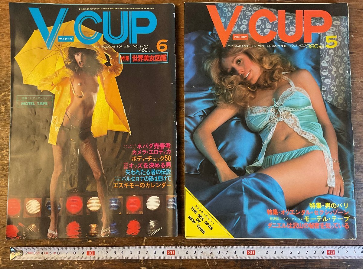 Yahoo!オークション - XX-0838 送料込 V-CUP ヴイカップ 2冊 まとめて ...