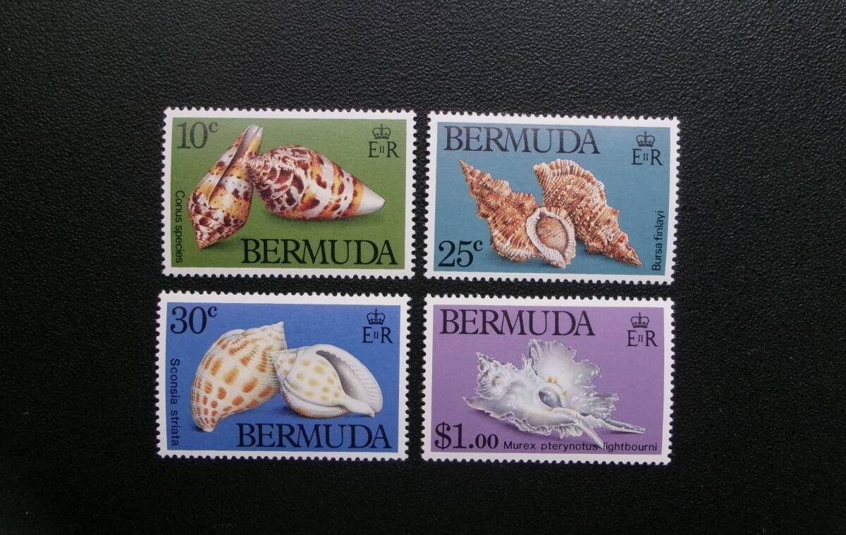 Yahoo!オークション - イギリス領バミューダ諸島発行 イモガイ属など貝...