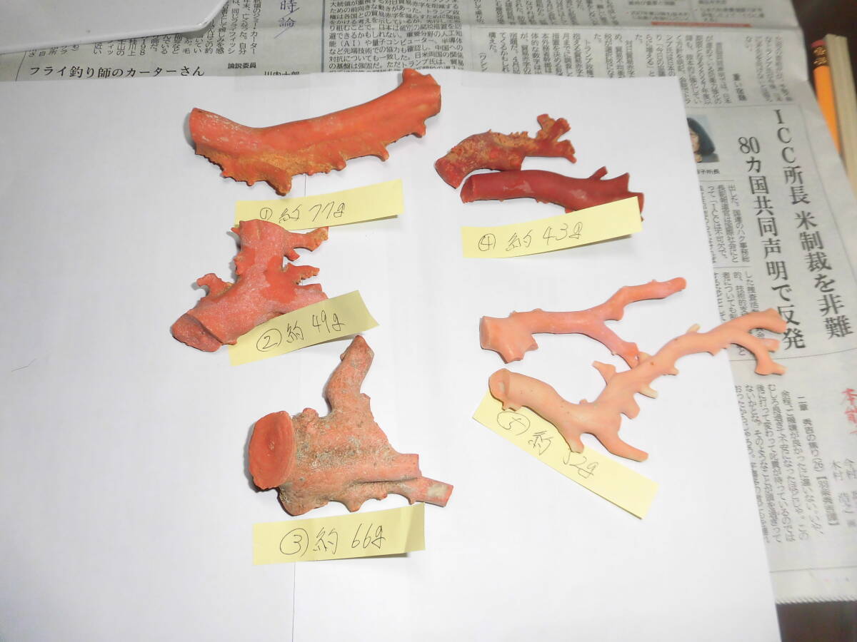 ①本珊瑚 血赤 ピンク 珊瑚 サンゴ 原木 宝石 ルース 全 約287g 材料 彫刻 根付 ジュエリー オブジェ(東洋彫刻)｜売買されたオークション情報、yahooの商品情報をアーカイブ公開 ...