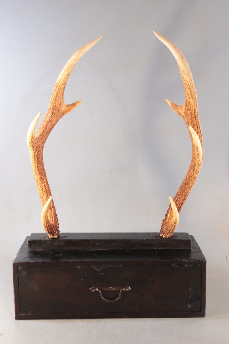 Yahoo!オークション - E836 鹿角 刀掛け 刀置き 時代もの 古道具 和骨...