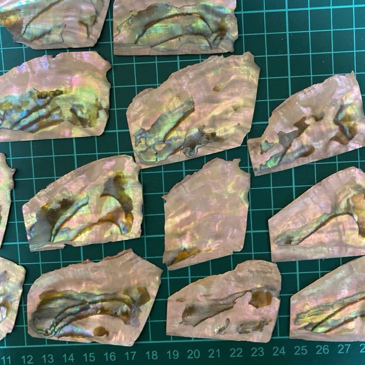 Yahoo!オークション - アワビ貝殻スライス 40g10枚前後