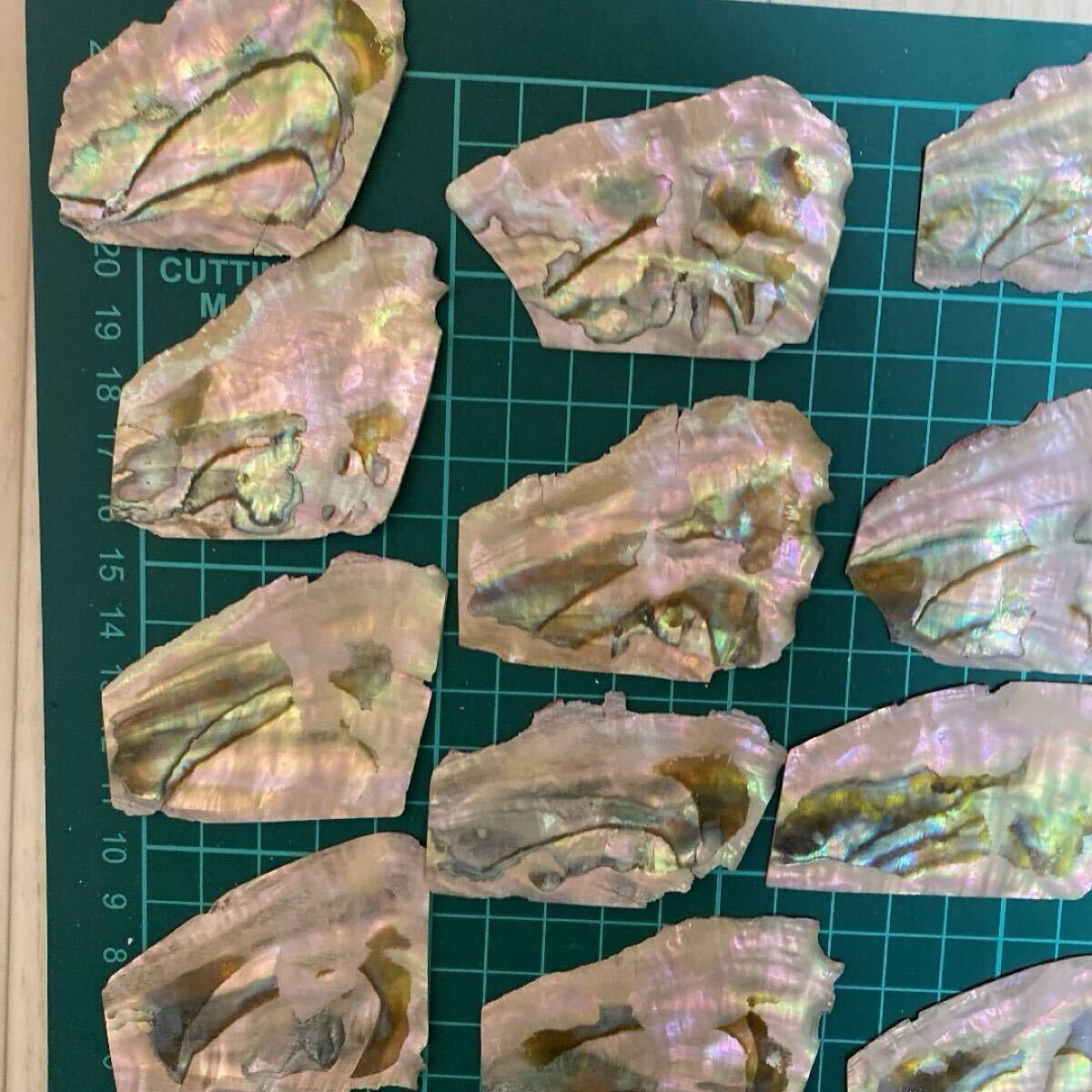 Yahoo!オークション - アワビ貝殻スライス 40g10枚前後