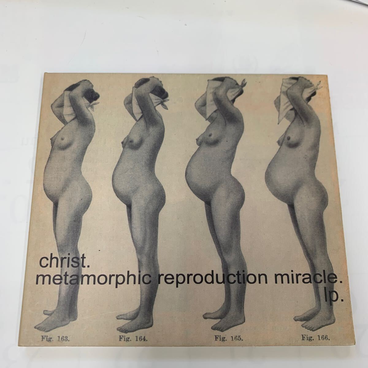 Yahoo!オークション - Christ. Metamorphic reproduction miracle. Lp....