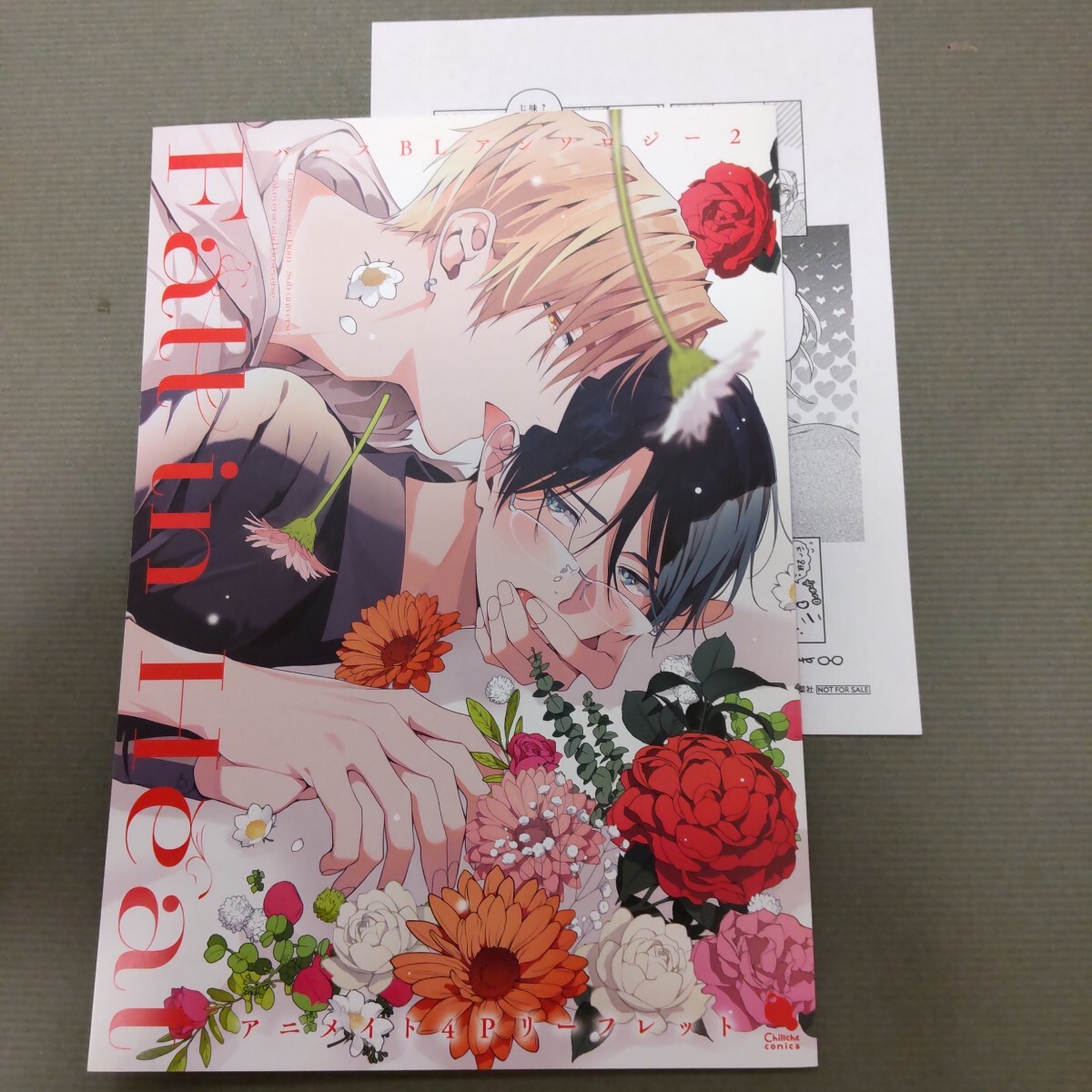 Yahoo!オークション - アニメイト特典 描き下ろしB6サイズ4Pリーフレッ...