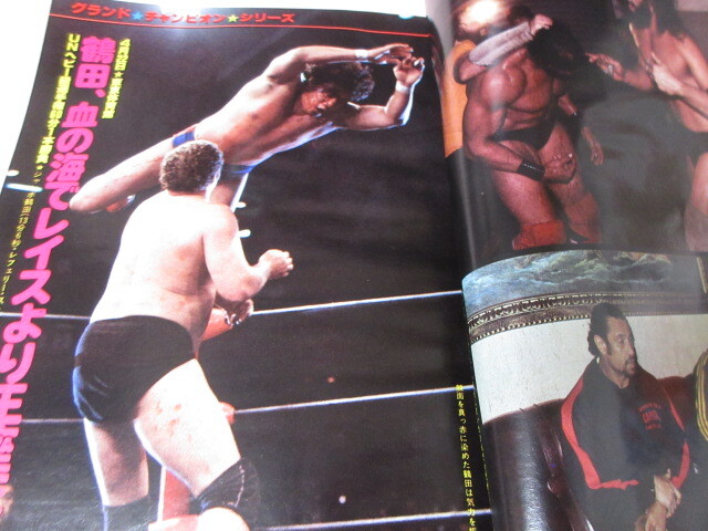 Yahoo!オークション - 「月刊プロレス 1982．6」藤波対ブッチャー ファ...