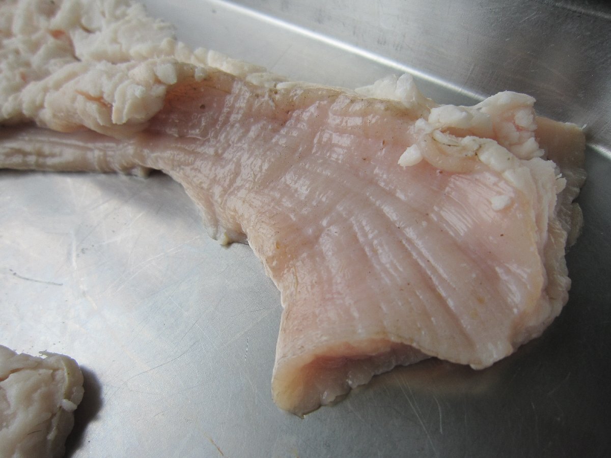 Yahoo!オークション - 国産牛の上ミノ 2個セット（合計約570g）