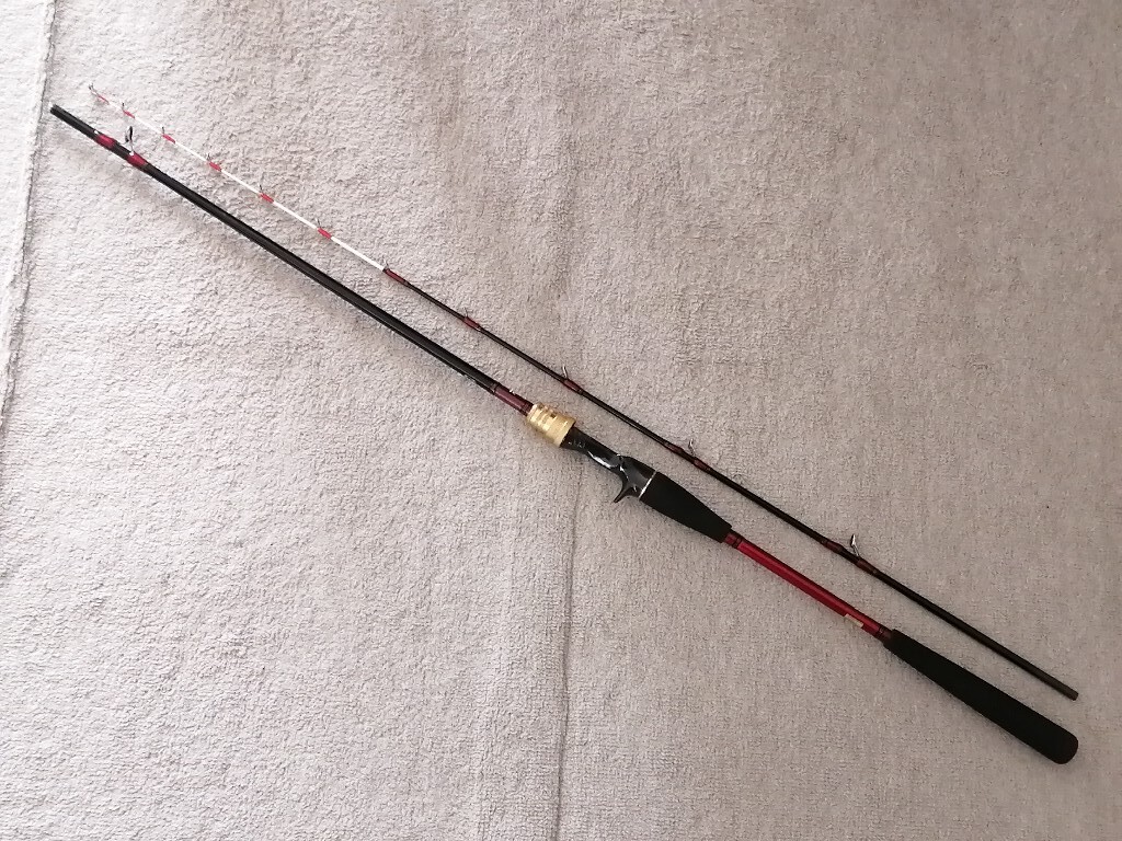 Yahoo!オークション - 即決 ダイワ 20 アナリスター タチウオ M-180・R...