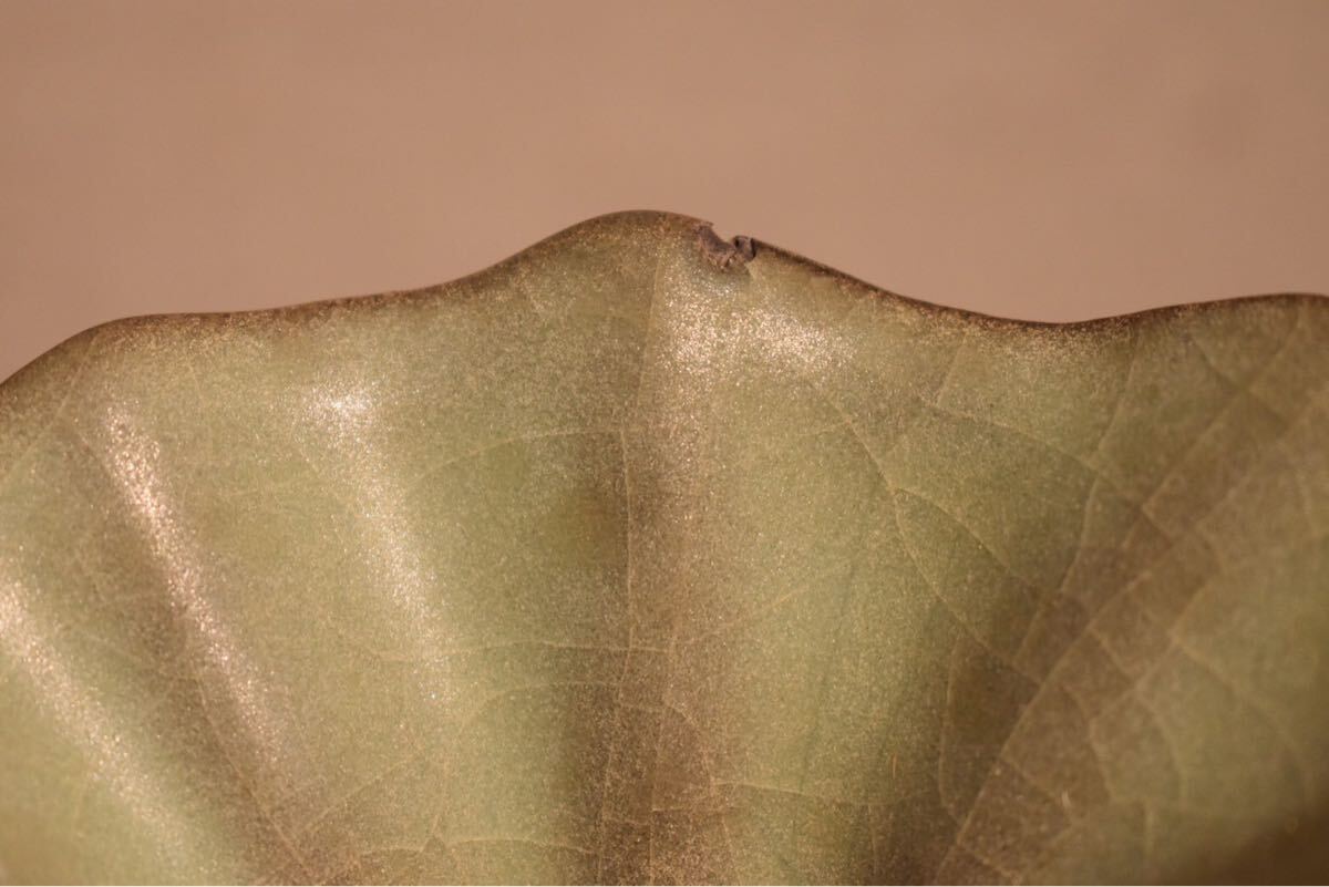 Yahoo!オークション - 【GE】Z123【コレクター所蔵品】時代 青磁花瓶/...