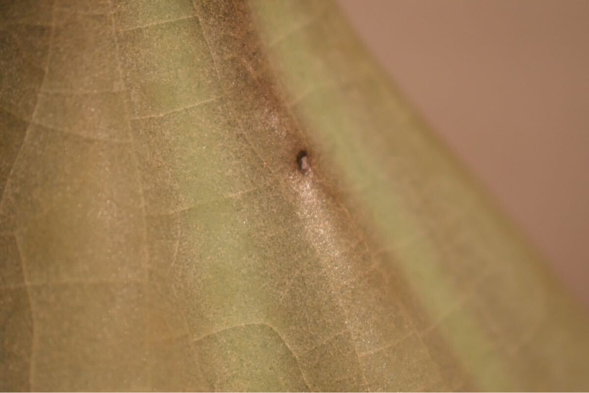 Yahoo!オークション - 【GE】Z123【コレクター所蔵品】時代 青磁花瓶/...