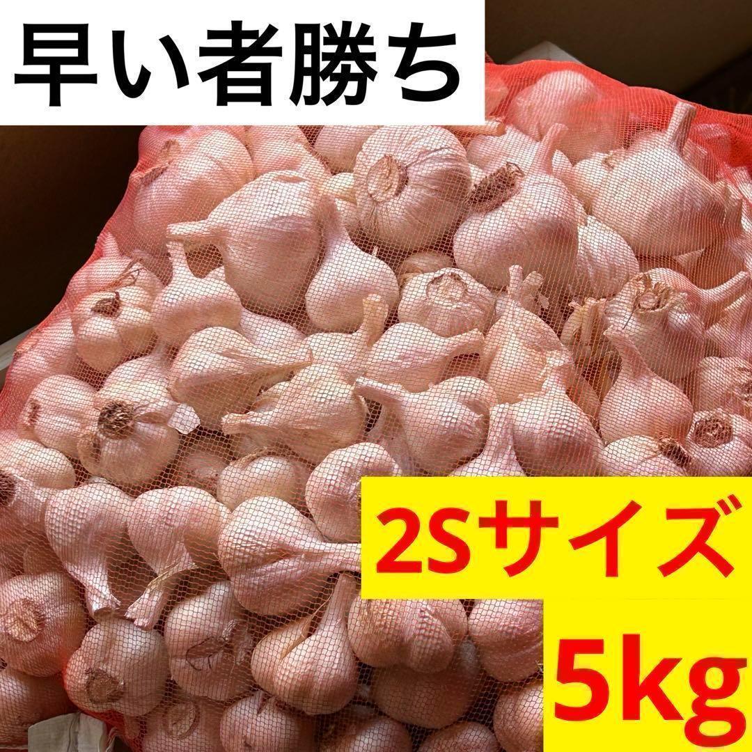 Yahoo!オークション - 5kg 2S 青森県産にんにく 福地ホワイト 加工 訳...