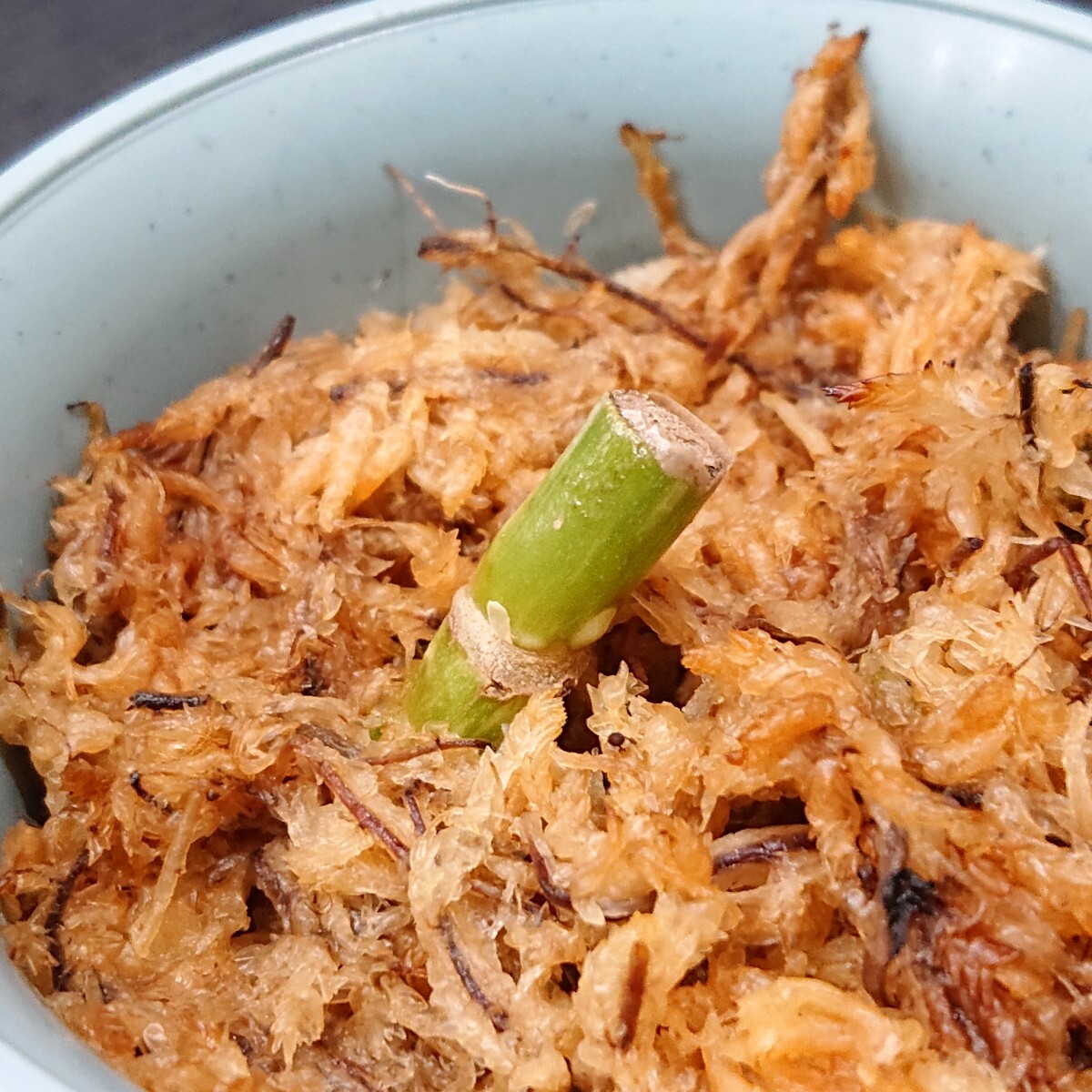 Yahoo!オークション - 15 特級斑入り 発根済み 極上 斑入り モンステラ...