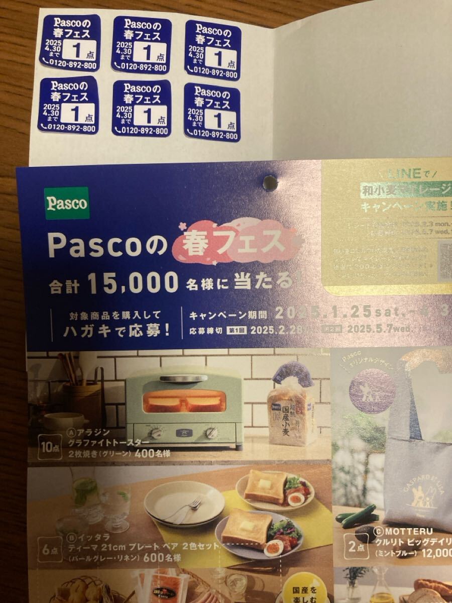 Yahoo!オークション - 20点分 Pasco パスコ 春フェス キャンペーン 懸...