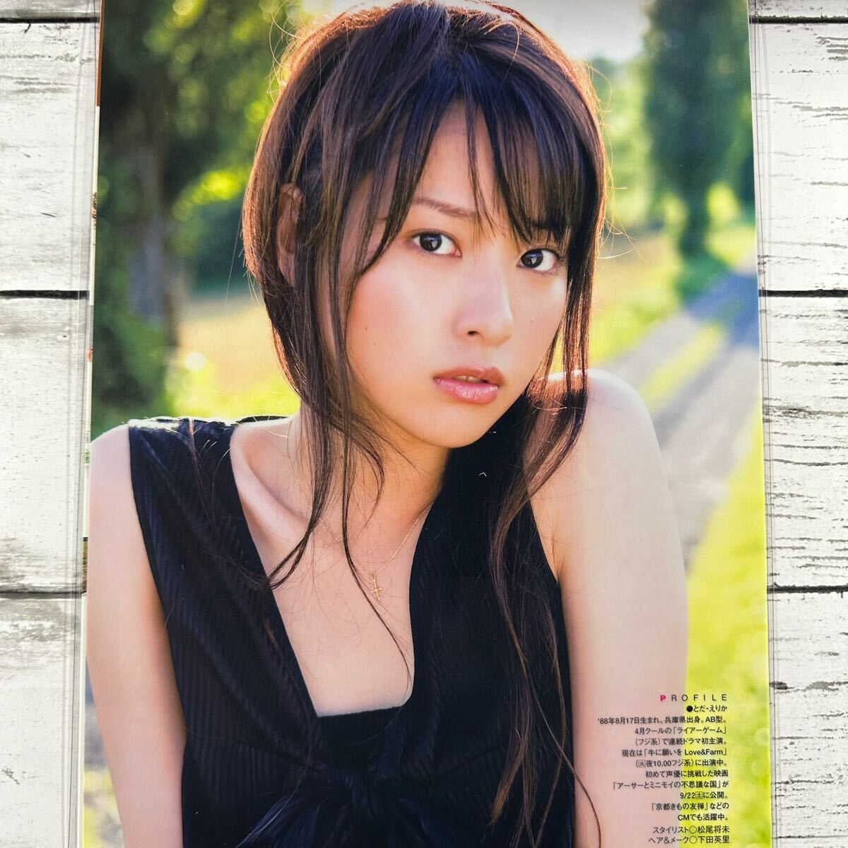 高品質ラミネート処理 戸田恵梨香 テレビジョン 2007年8号 雑誌 切り抜き 8P A4フィルム 水着 グラビア アイドル 芸能人 女優(中古)のオークション落札情報