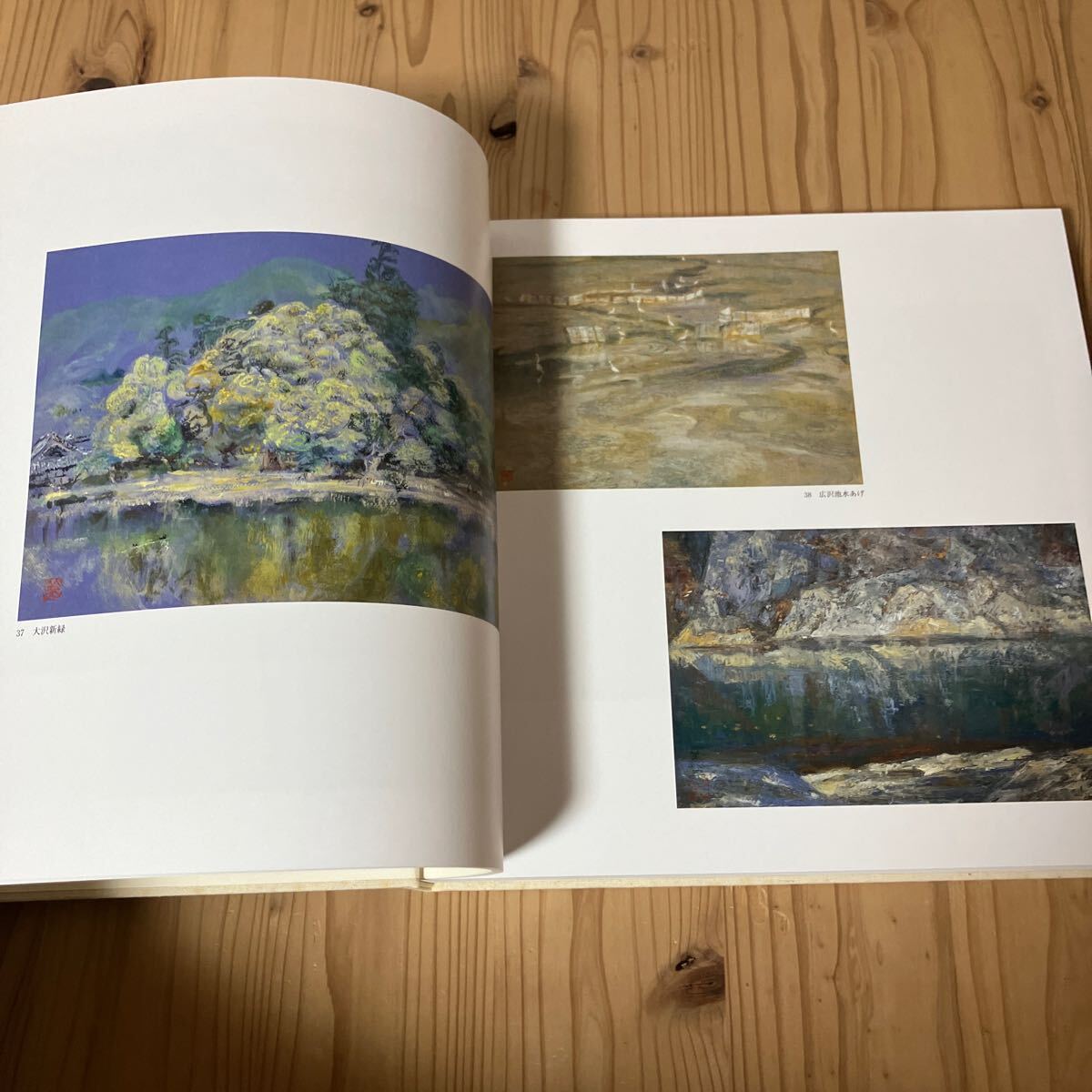 Yahoo!オークション - シヲH57-0227[四季光彩 加藤美代三自選集] 画集 ...