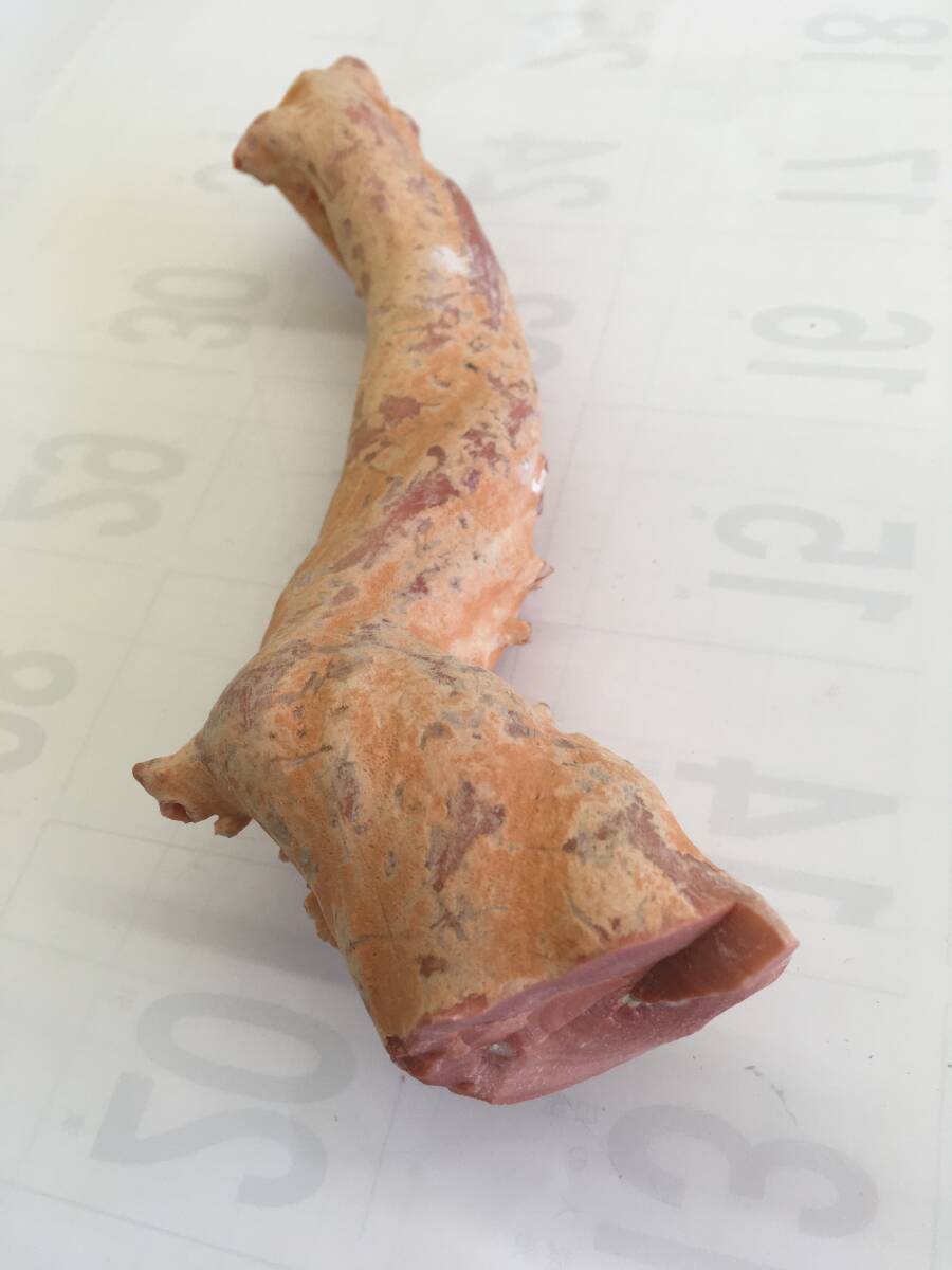 珊瑚 原木 360g(その他)｜売買されたオークション情報、yahooの商品情報をアーカイブ公開 - オークファン（aucfan.com）