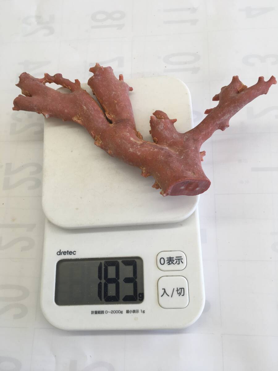 Yahoo!オークション - 珊瑚 原木 183g