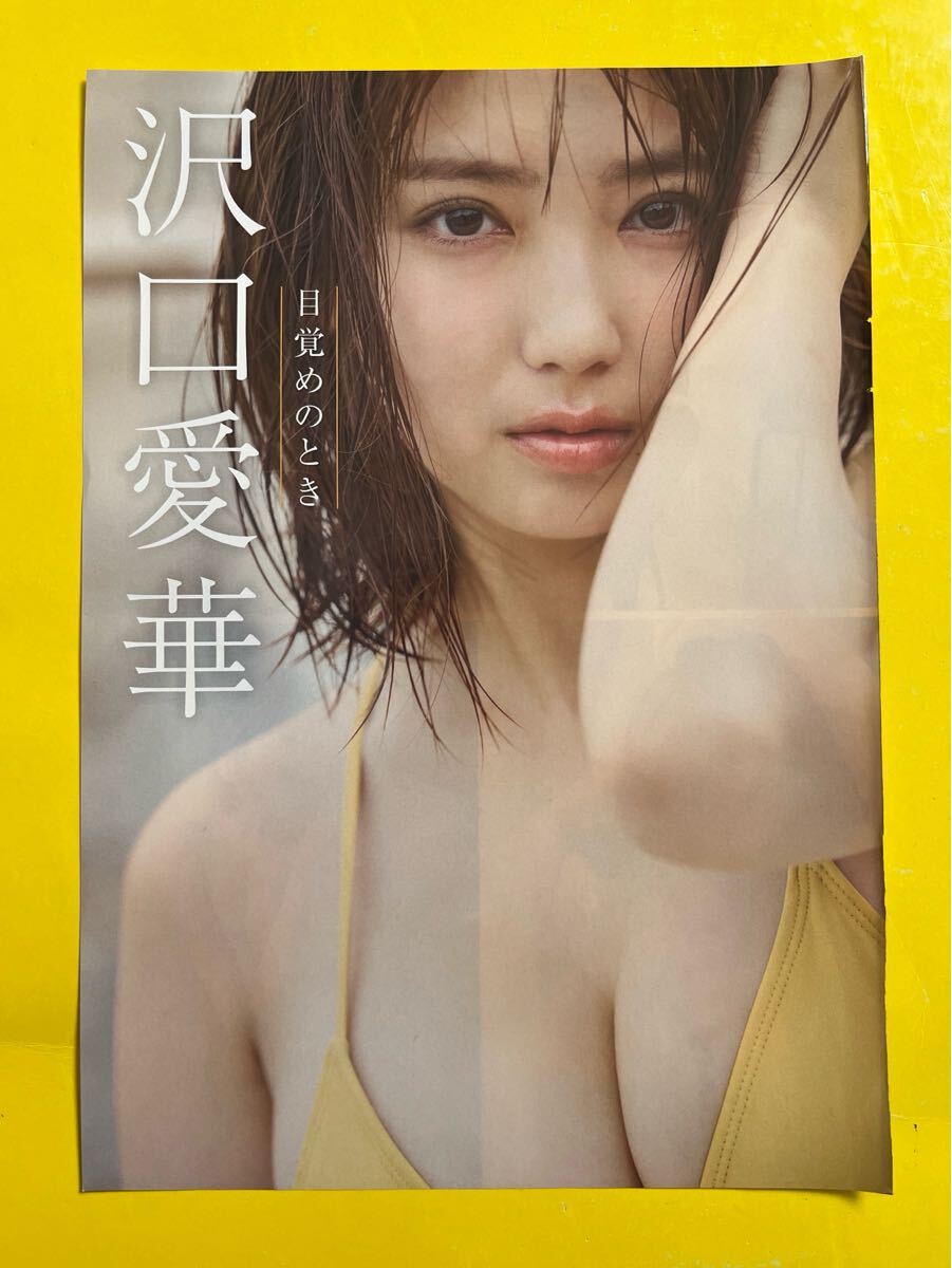 Yahoo!オークション - 週刊現代 沢口愛華 切り抜き6P 2024 送料140円～