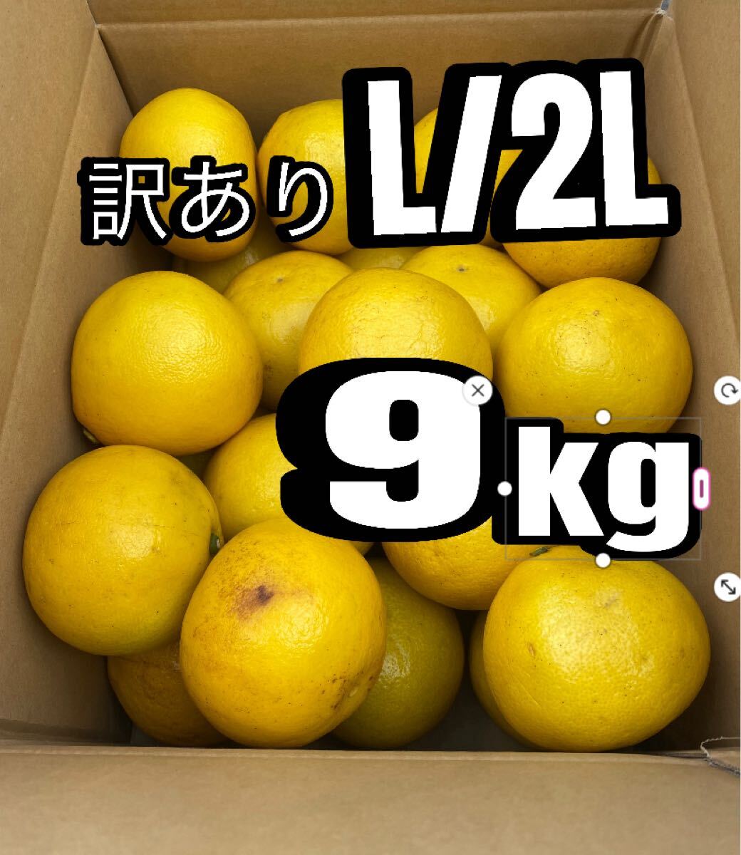 Yahoo!オークション - 即決 訳あり 文旦 L/2L 9kg 農家直送 高知県産 ...
