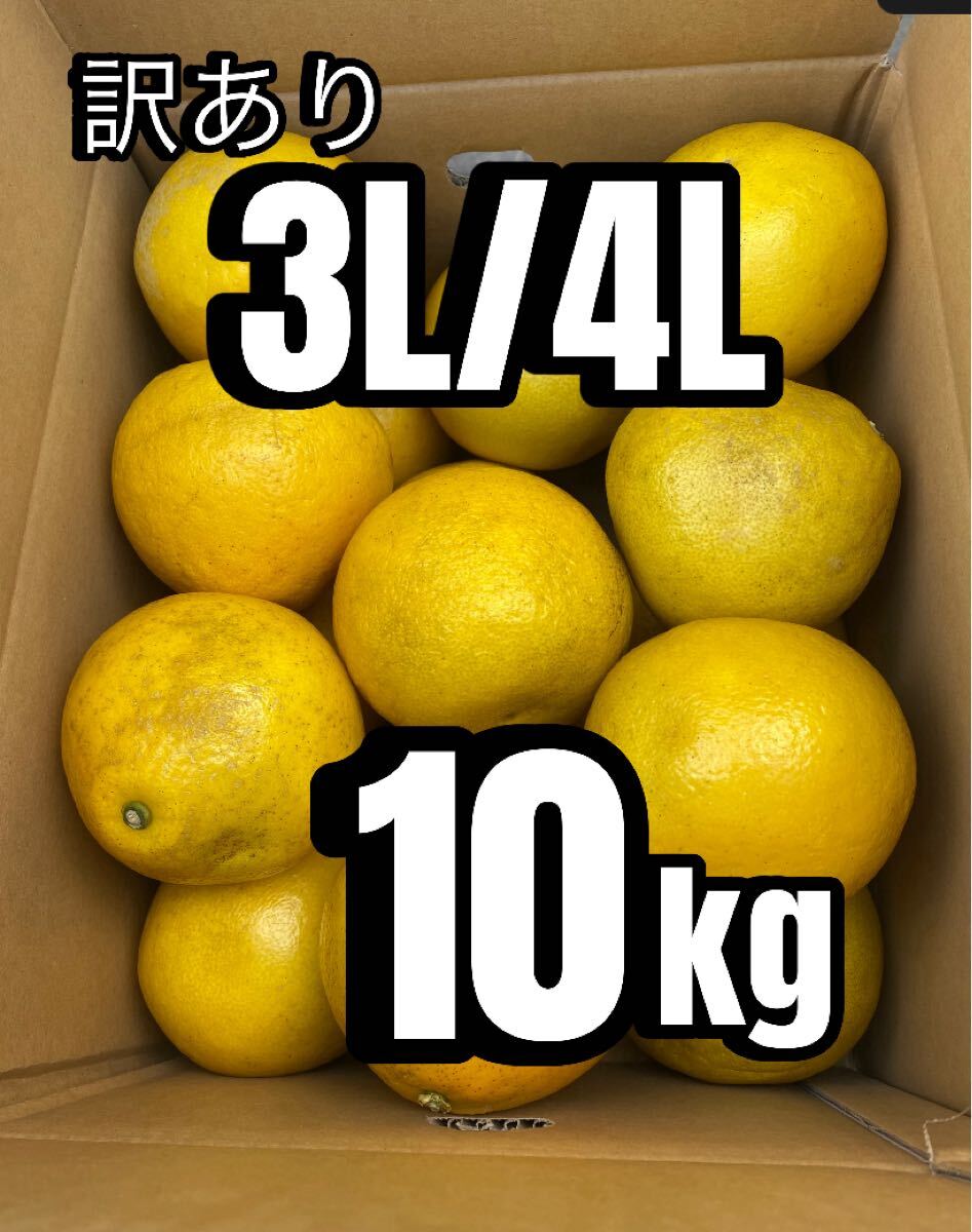 Yahoo!オークション - 即決 訳あり 文旦3L/4L 10kg 農家直送 高知県産 ...