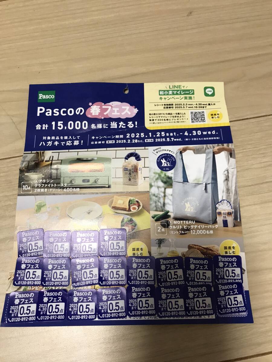 Yahoo!オークション - pascoの春フェス 10点