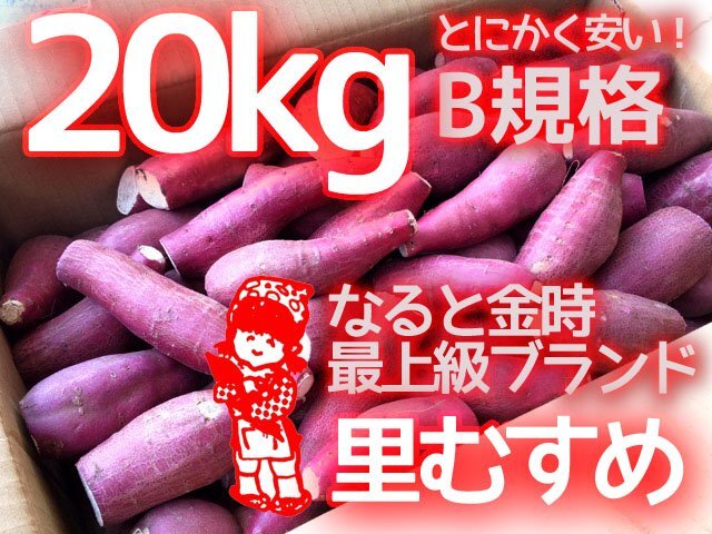 大放出特価品 わけあり 徳島県里浦産 なると金時 B品切 S~2S 20kg さつまいも サツマイモ 薩摩 芋(さつまいも)｜売買されたオークション情報、yahooの商品情報をアーカイブ公開 ...