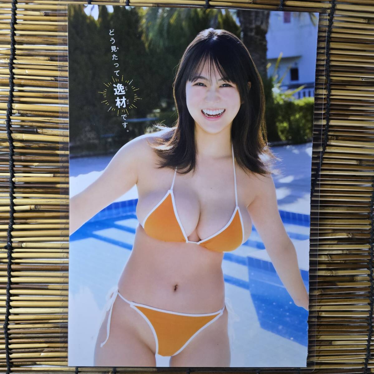 Yahoo!オークション - 【高品質厚手150μラミネート加工】福井梨莉...