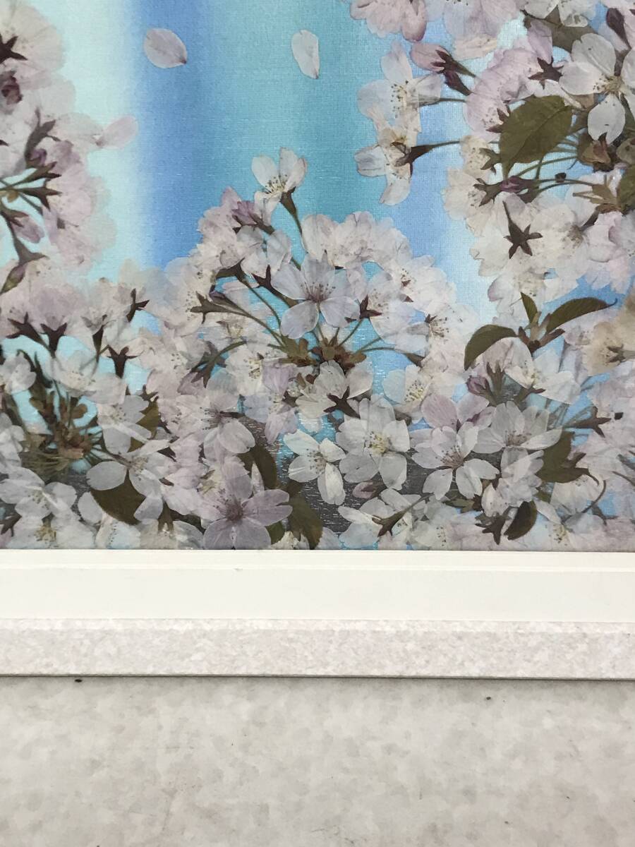 HG7567 押し花アート 桜 さくら 春 押し花絵 額装 壁掛け HG7567 押し花アート 桜 さくら 春 押し花絵 額装 壁掛け