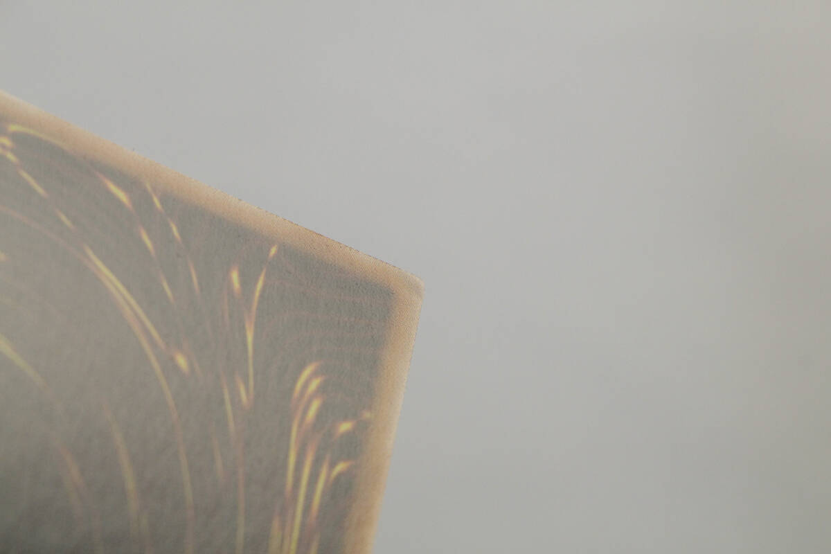 Yahoo!オークション - 遊戯王 DP29-JP006 時空の七皇 スーパーレア〔1...