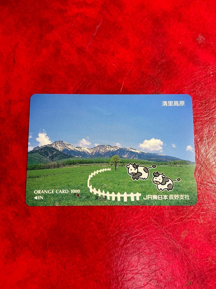 Yahoo!オークション - C316 1穴 使用済み オレカ JR東日本 長野支社 清...