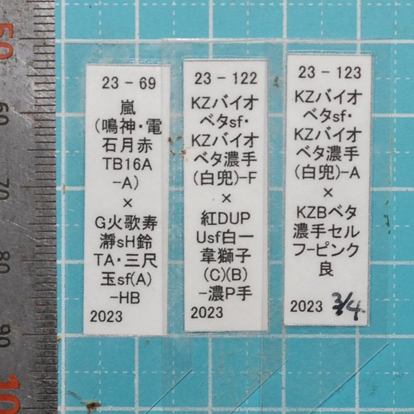 Yahoo!オークション - MIX (7S)-2 イワチドリ 岩千鳥 『ミックス球根 ...