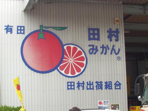 Yahoo!オークション - 【京の果実屋】あのブランド 田村みかん/じゅわ...