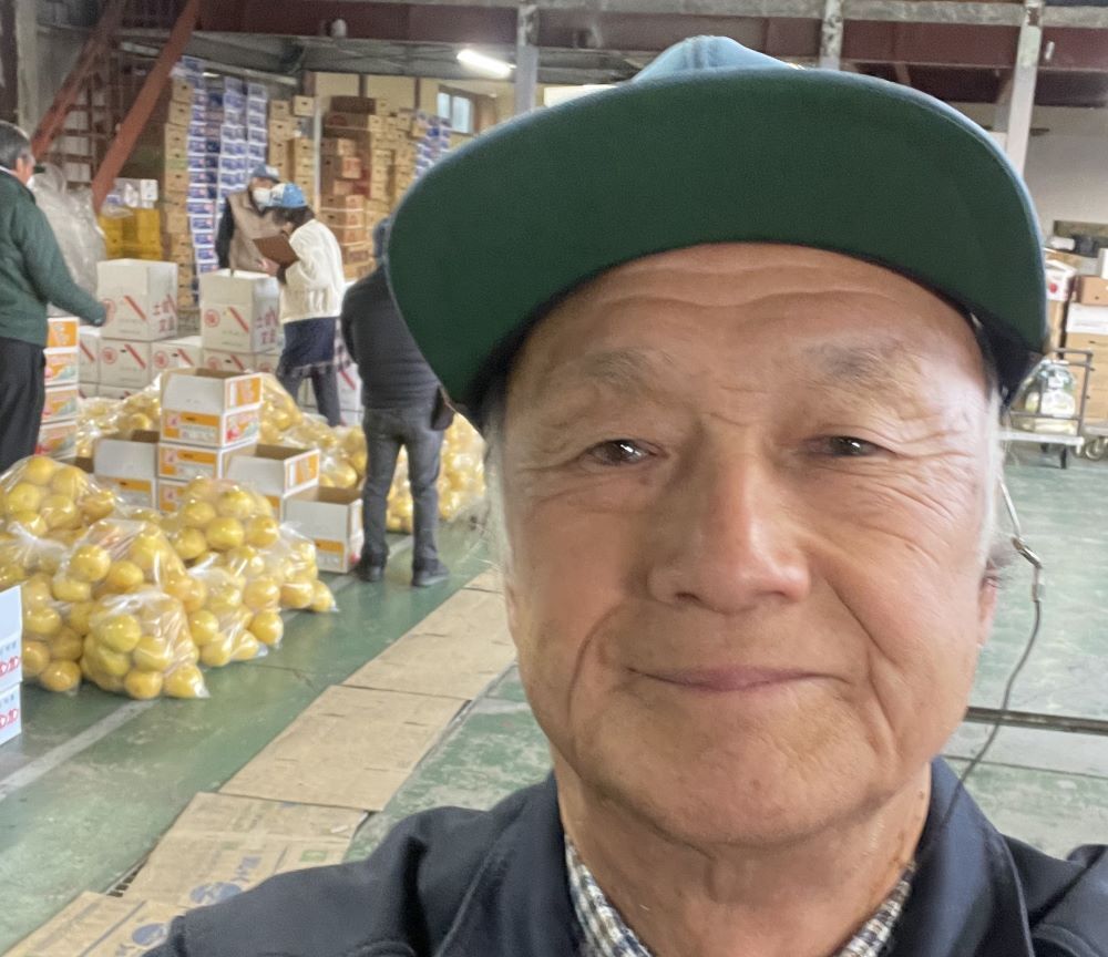 Yahoo!オークション - 大玉4L5L混載 【土佐文旦】 本場高知県産 お味...