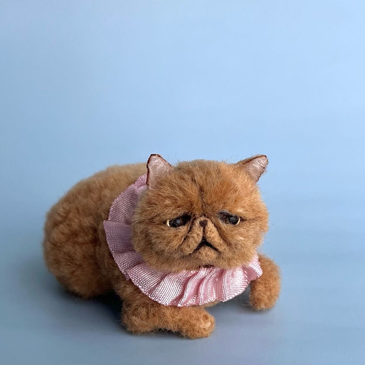Yahoo!オークション - meow-felt 羊毛フェルト 猫 エキゾチックショー...