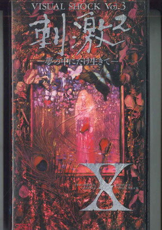 Yahoo!オークション - VHS X Visual Shock Vol.3 刺激2 - 夢の中にだけ...